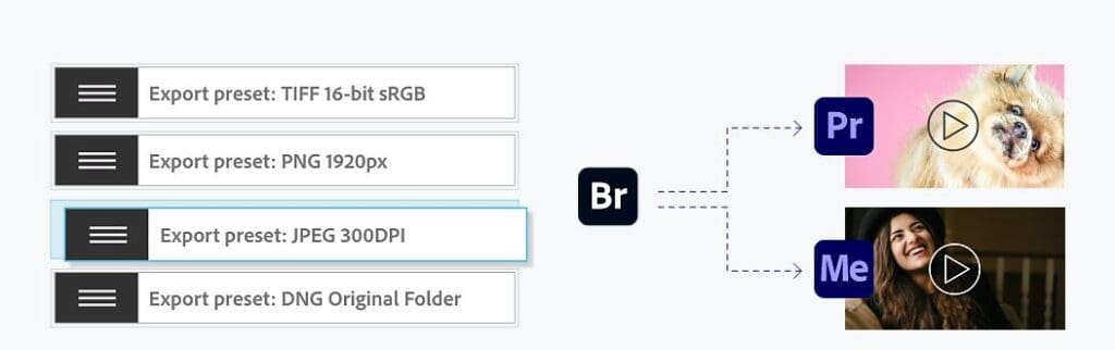 Adobe Bridge: La Guida Definitiva - Fotografia Moderna